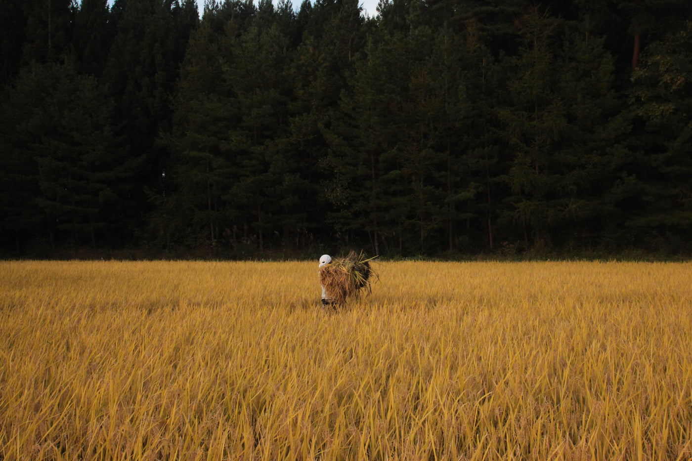 non°（ nondo）ECサイト